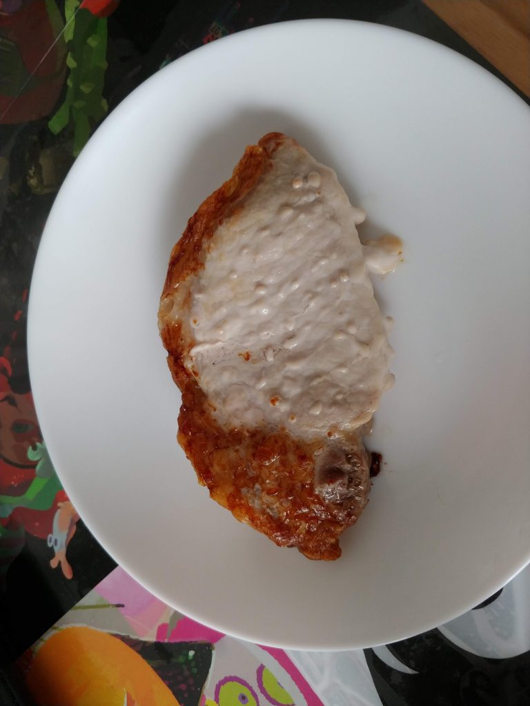 3つ星 ビストロ NE-BS806をレビュー。ノンフライヤーの代わりになりグリル機能が使いやすい | SEの徒然旅ブログ